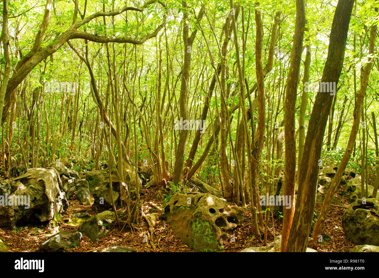 Oddly shaped Banque de photographies et d’images à haute résolution - Alamy