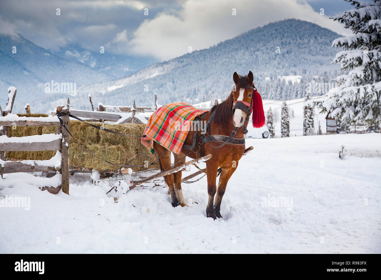 Village dans les carpates Banque de photographies et d’images à haute ...