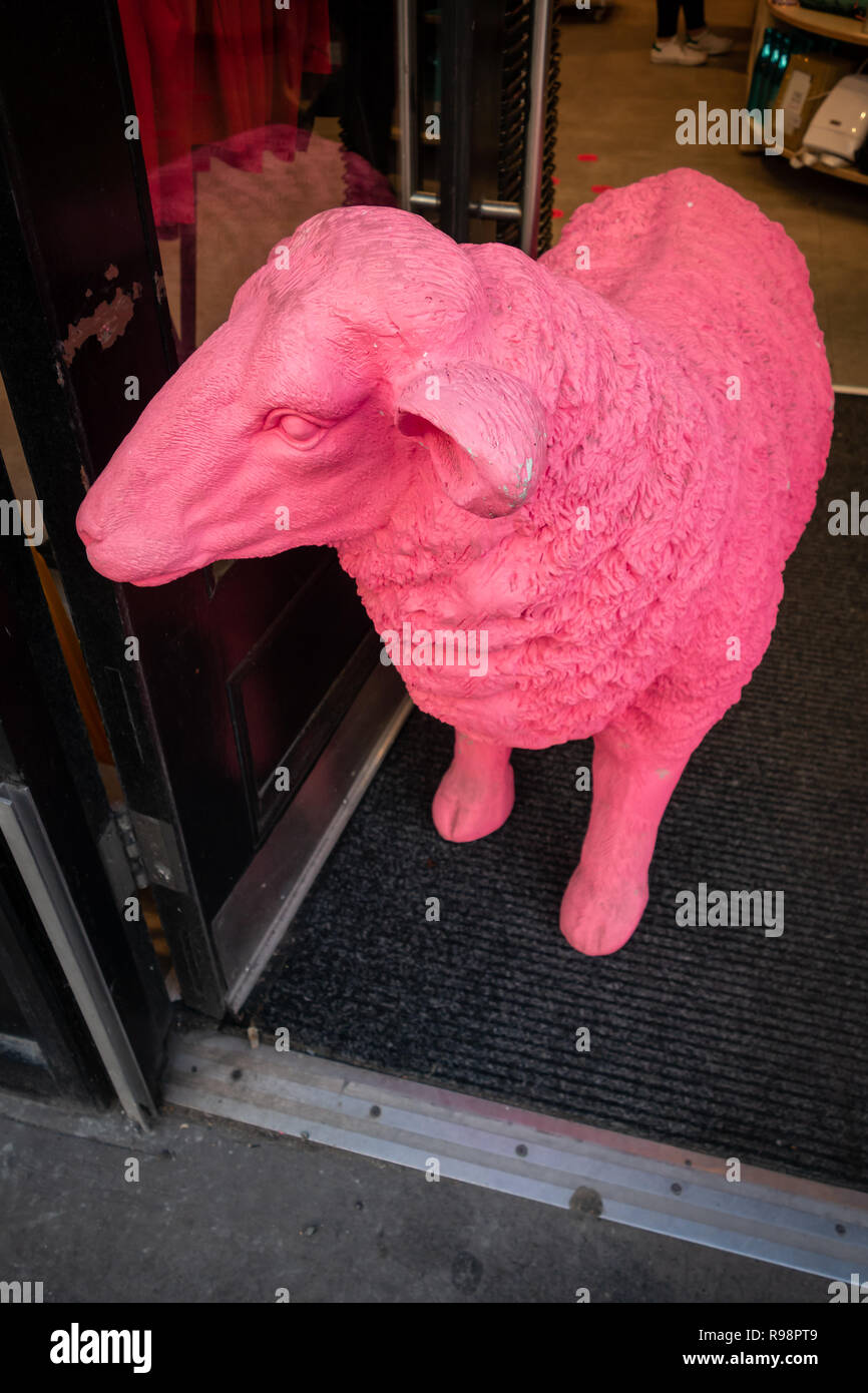 Mouton Rose Dans La Porte Du Magasin Banque d'image et photos - Alamy