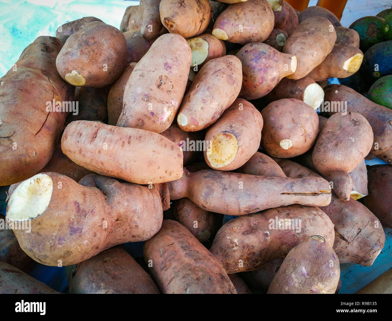 Yacon fruit Banque de photographies et d’images à haute résolution - Alamy