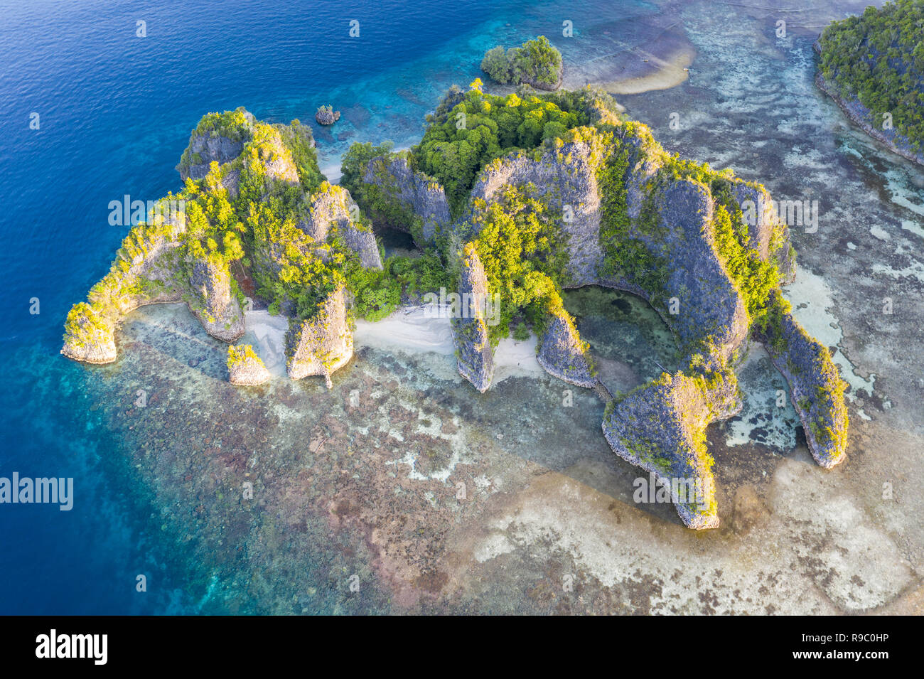 Îles calcaires dans Raja Ampat, en Indonésie, sont entourées de récifs ...