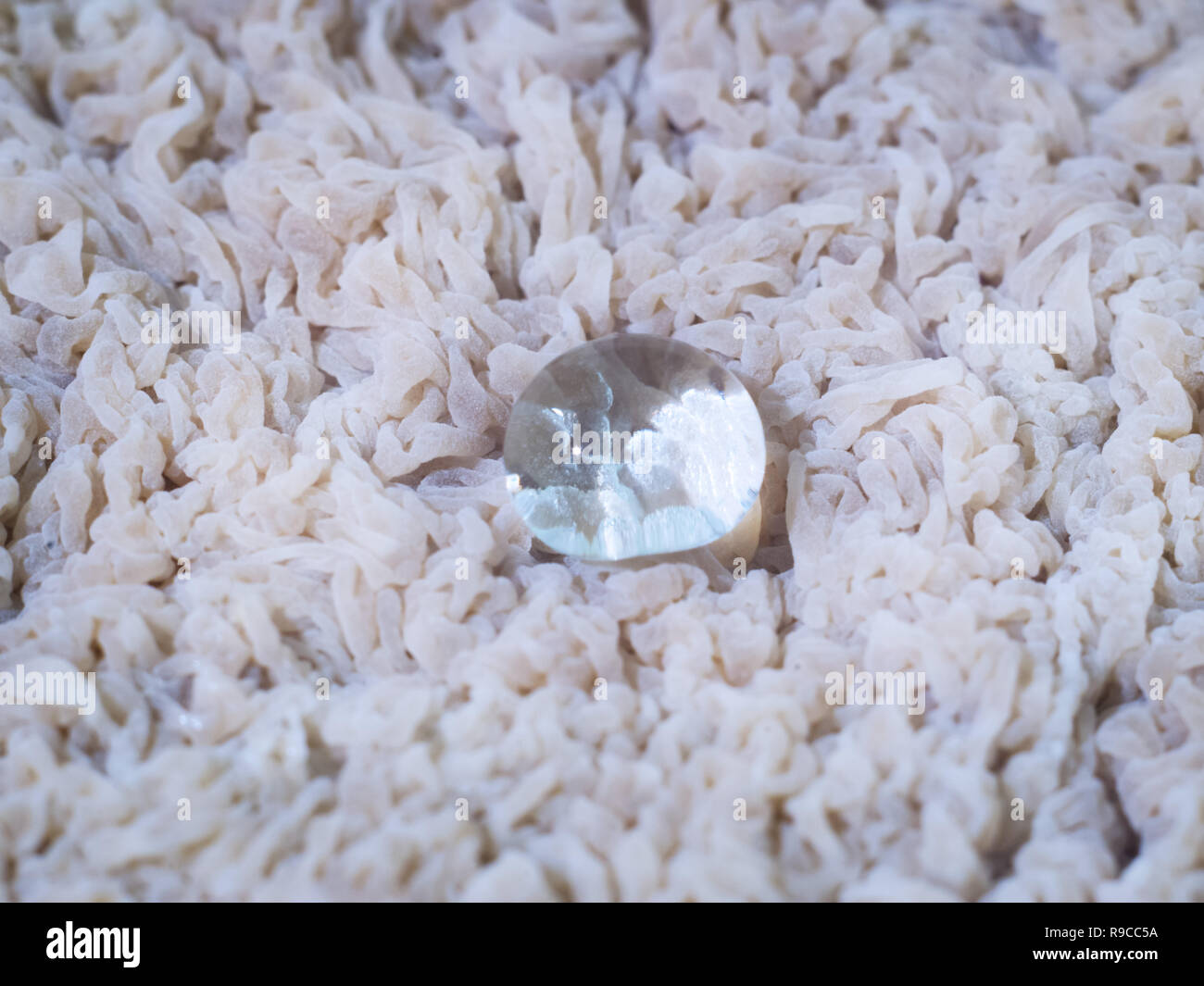 Cellule de levure Banque de photographies et d’images à haute ...