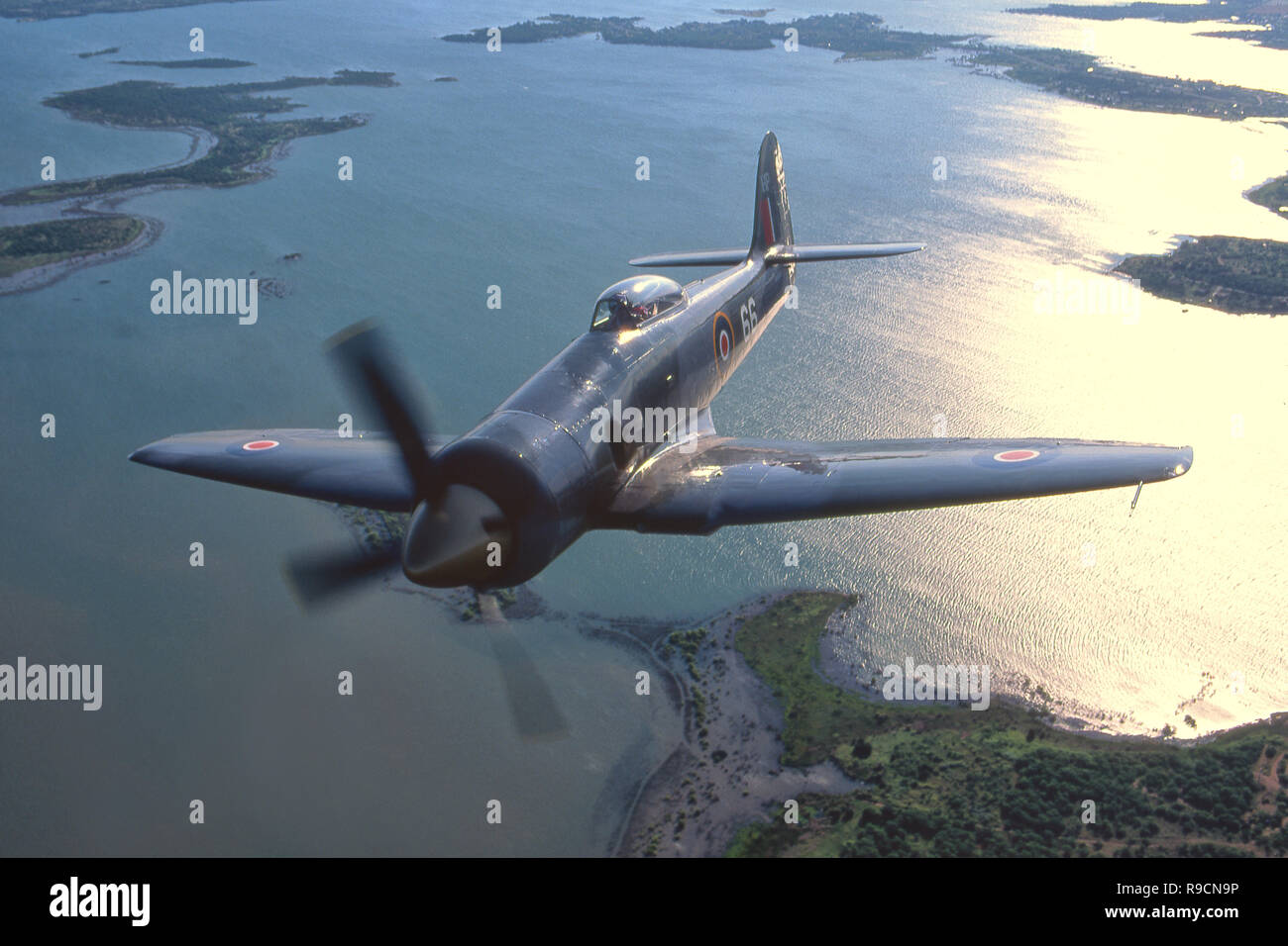 Sea fury Banque de photographies et d’images à haute résolution - Alamy