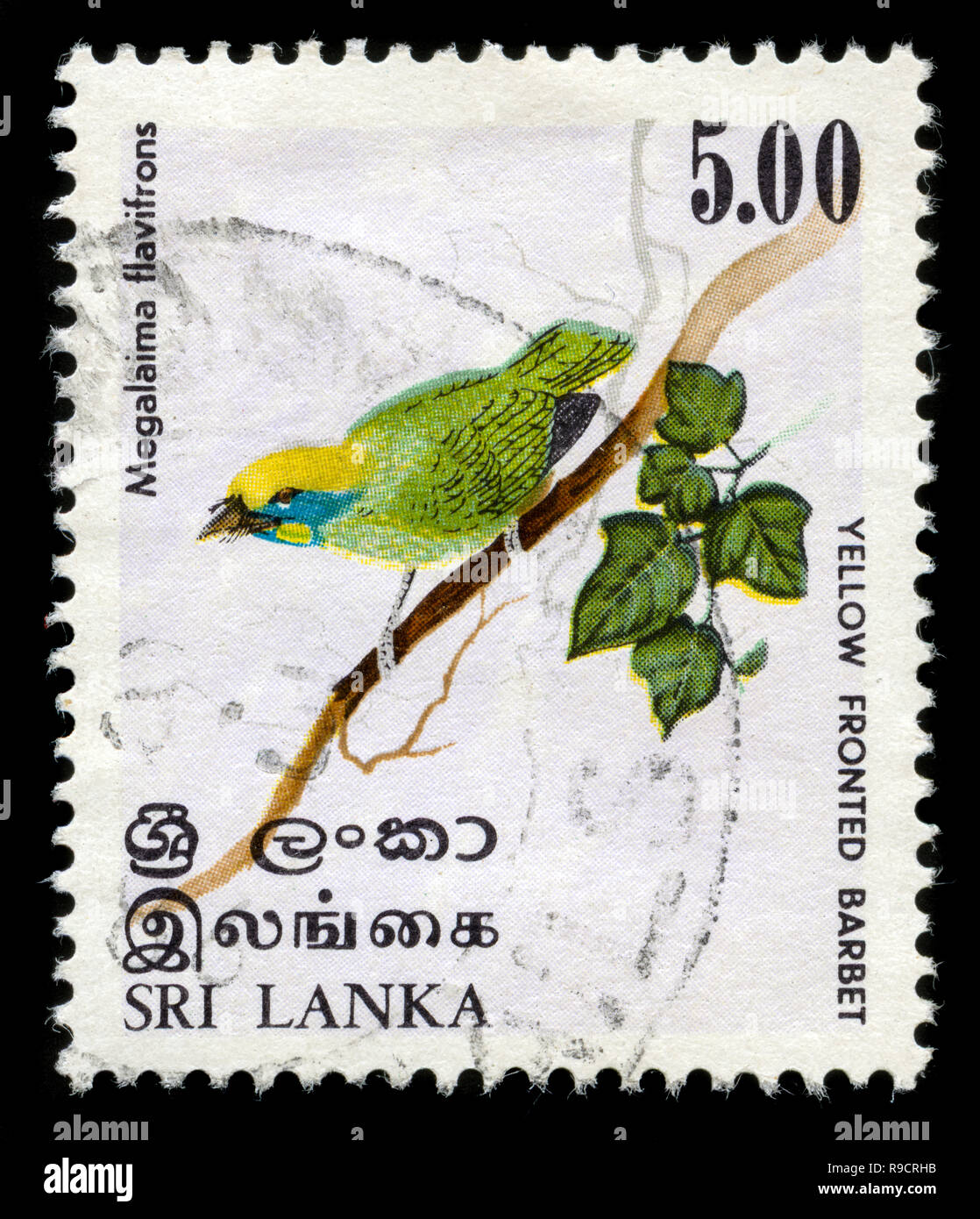 Timbre-poste du Sri Lanka dans la série des Oiseaux 1979 Photo Stock ...