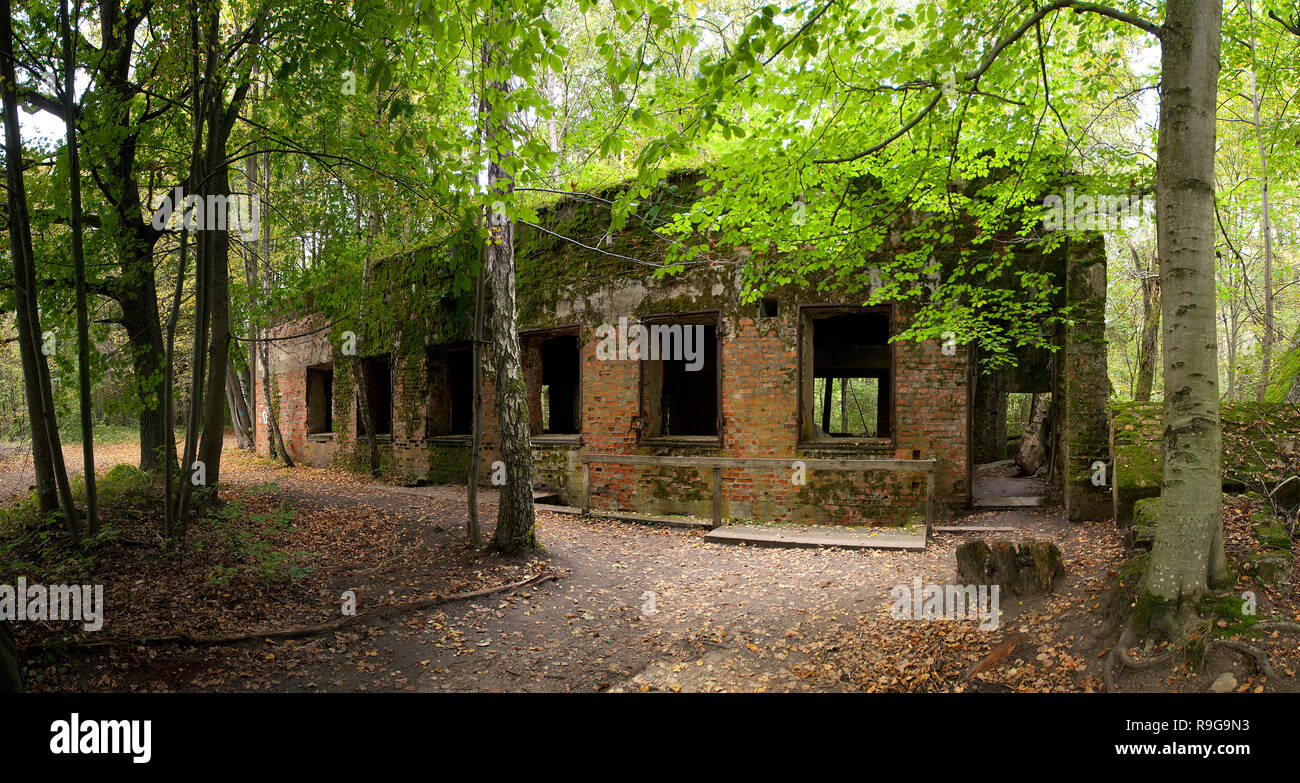 Vestiges de Wolf's Lair (allemand : Wolfsschanze), siège de l'ordre du ...