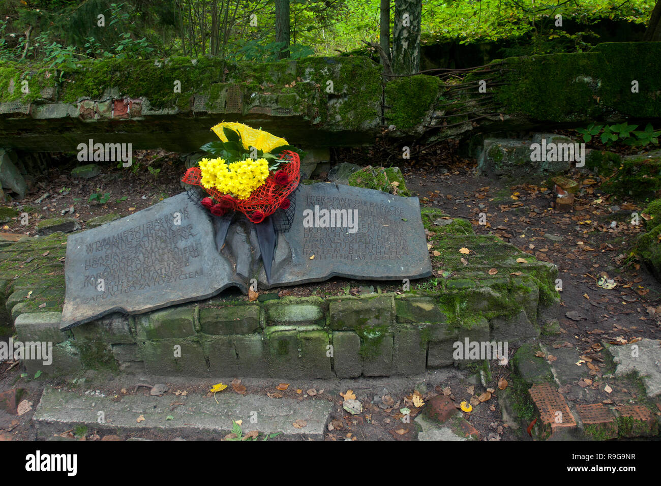 Claus schenk graf von stauffenberg Banque de photographies et d’images ...