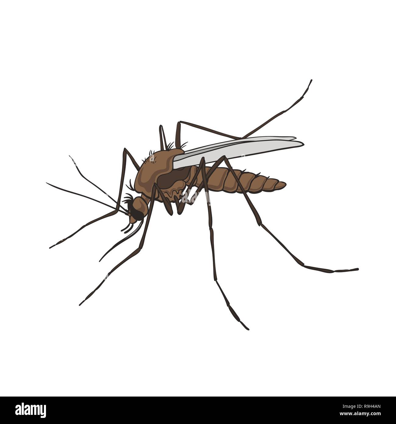 Moustique. Colorés, isolé sur fond blanc Image Vectorielle Stock - Alamy