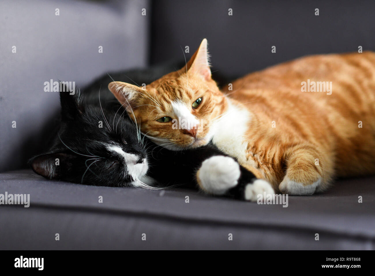 Deux Ensemble Banque d'image et photos - Alamy