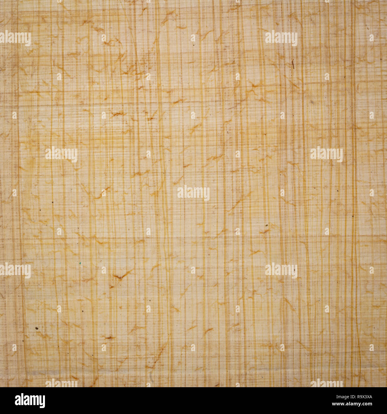 Papyrus égyptien papier fond. Papyrus, une des ressources végétales ...