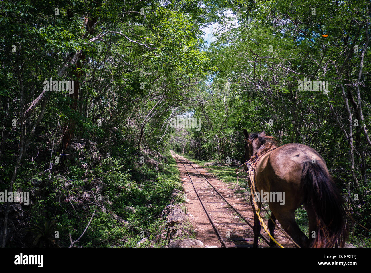 Vieux Chariot Minier Banque d'image et photos - Alamy