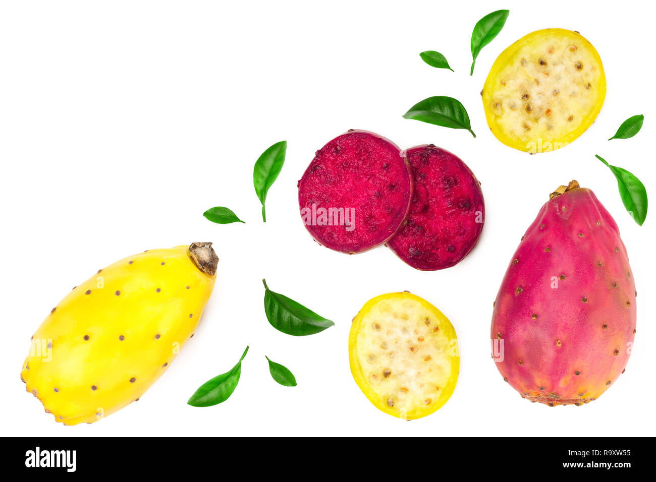 Fin rouge figuier de barbarie ou opuntia jaune isolé sur fond blanc ...