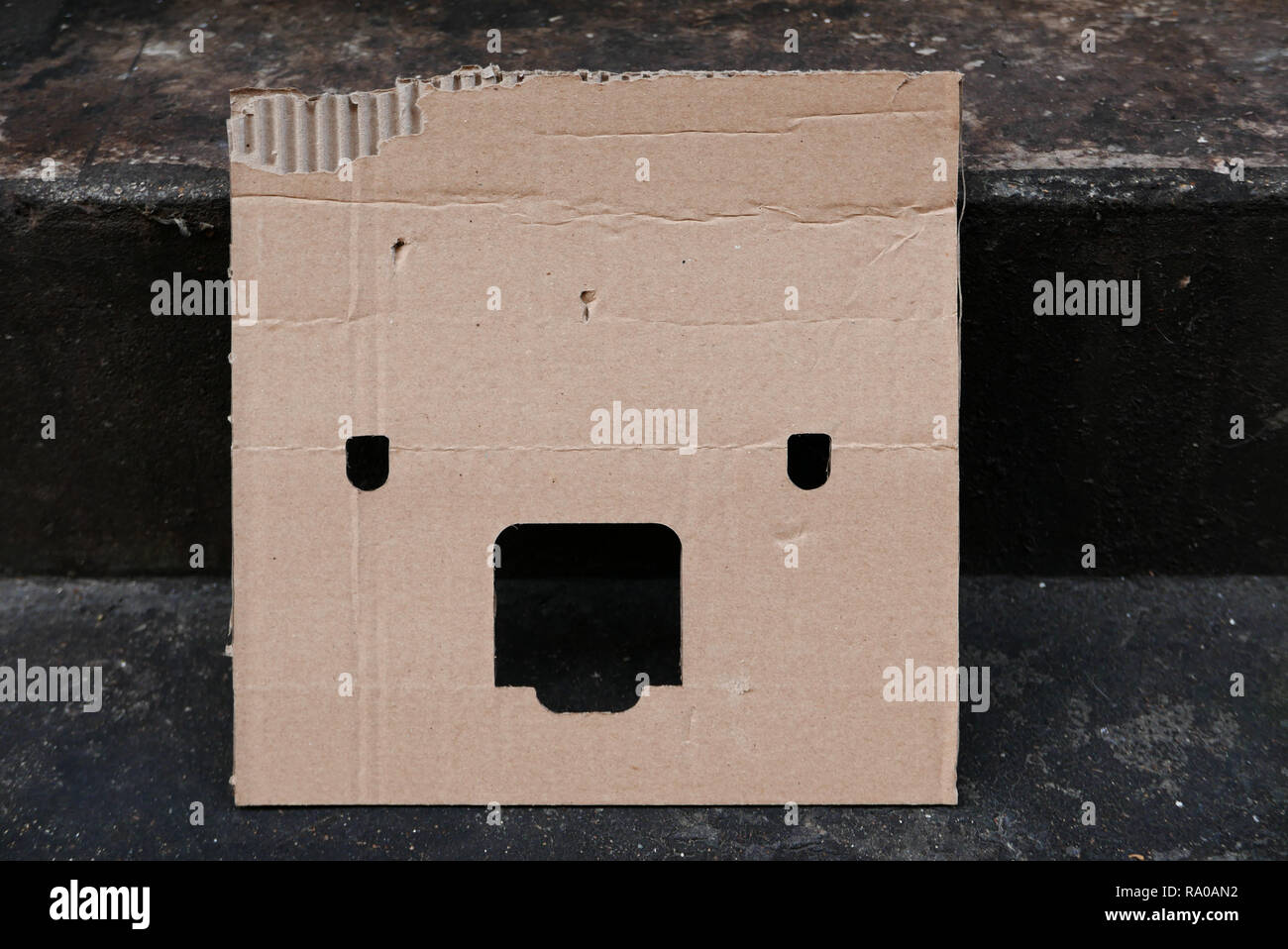 Face on a carton Banque de photographies et d’images à haute résolution ...