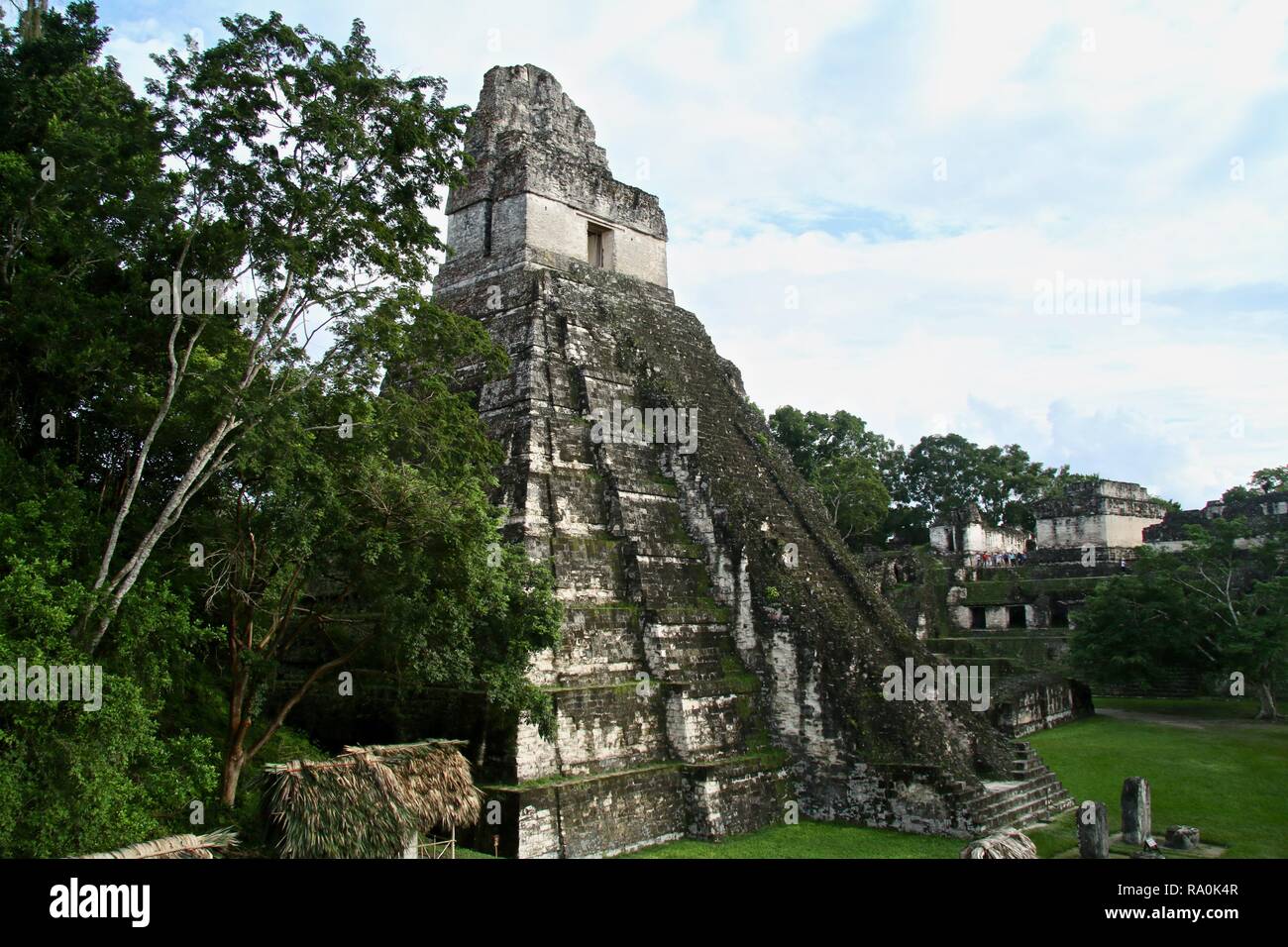 Jungles mayas Banque de photographies et d’images à haute résolution ...