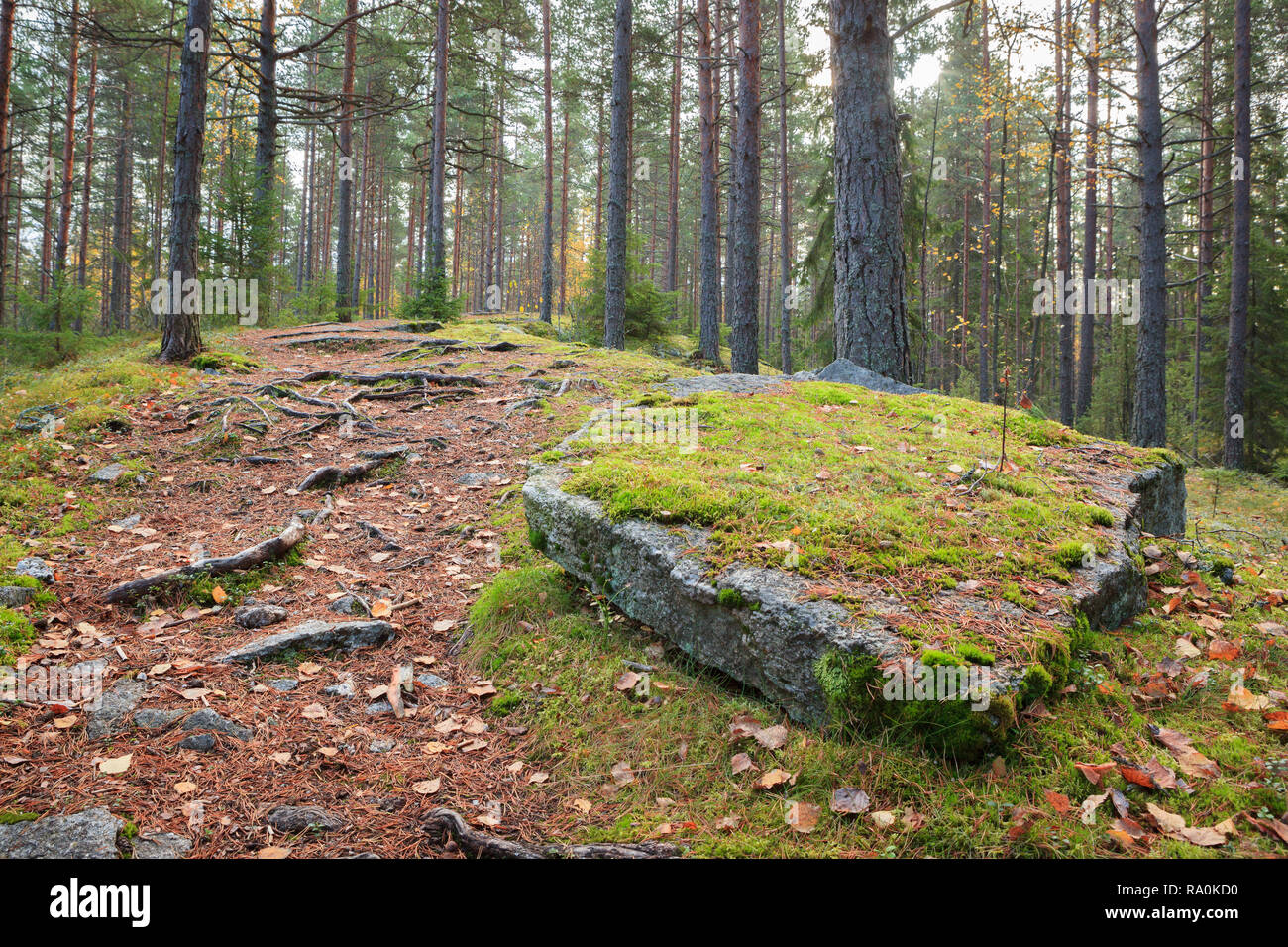Rocher gros rocher Banque de photographies et d’images à haute ...