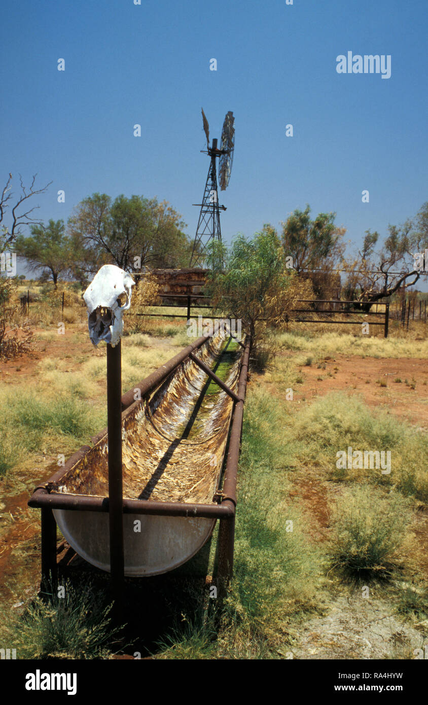 Tanami desert Banque de photographies et d’images à haute résolution ...