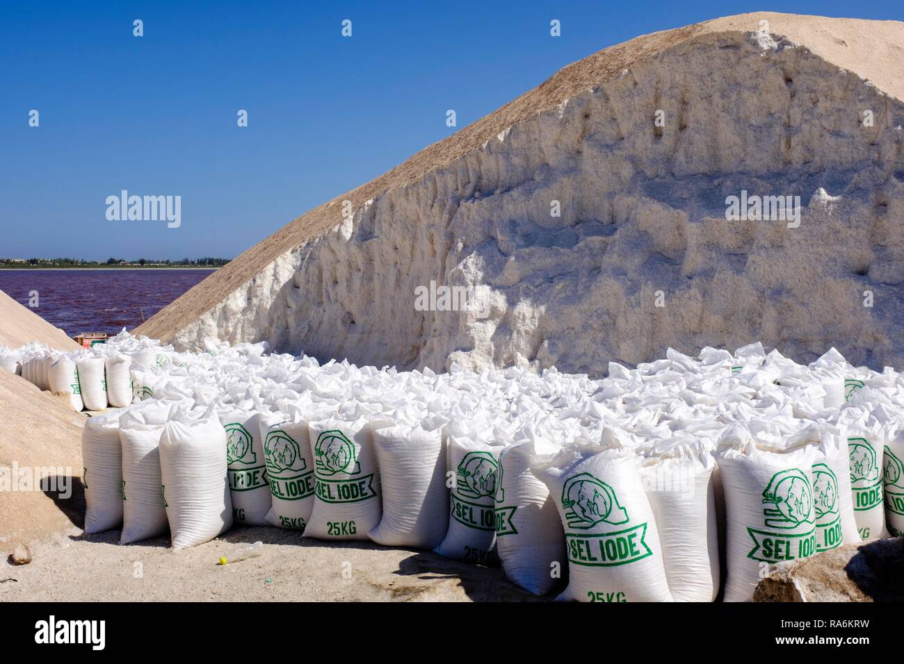 Rempli de sacs de sel à côté d'une colline de sel au Lac Rose, région ...
