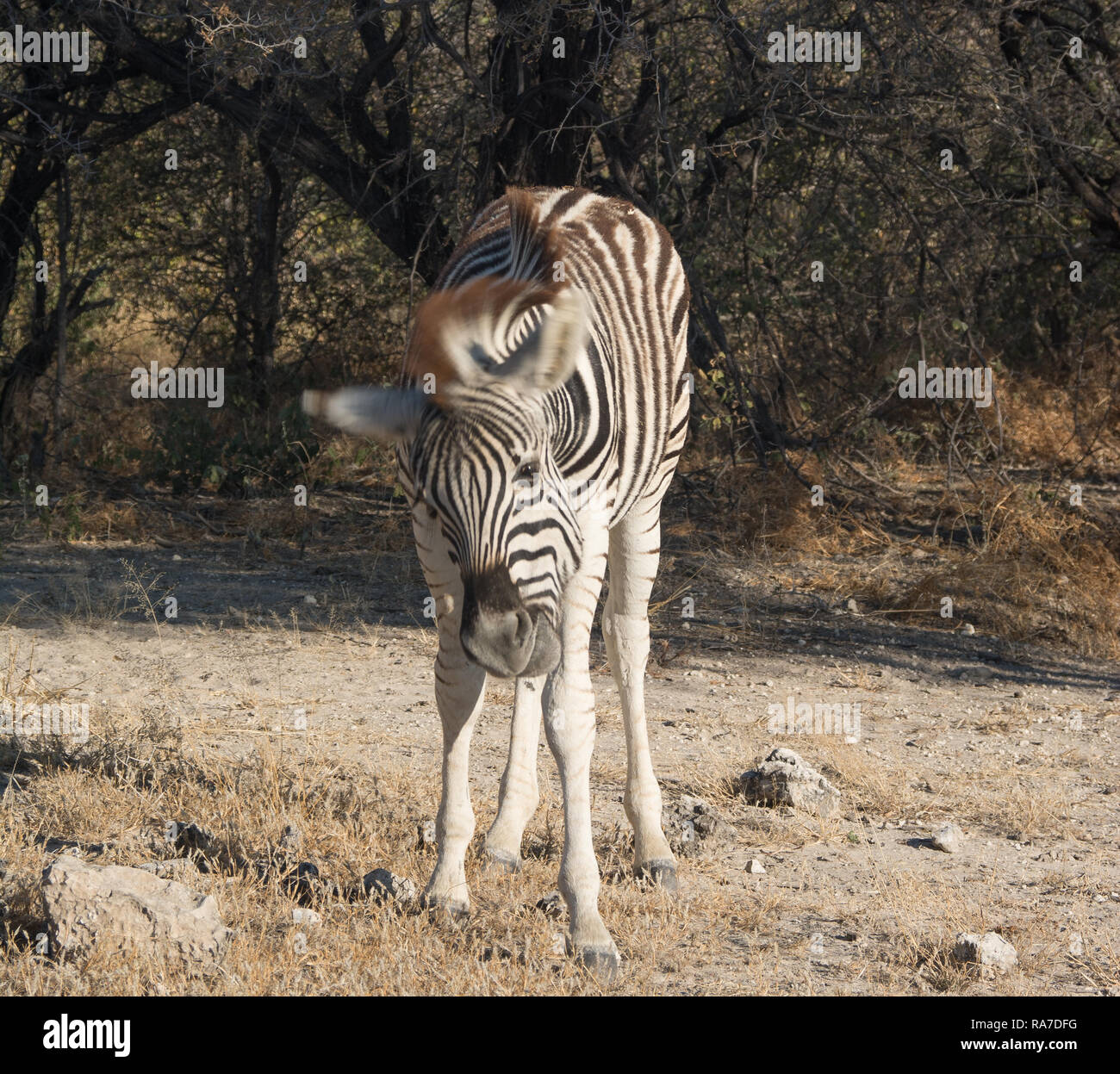 Paysage semi profil Banque de photographies et d’images à haute ...