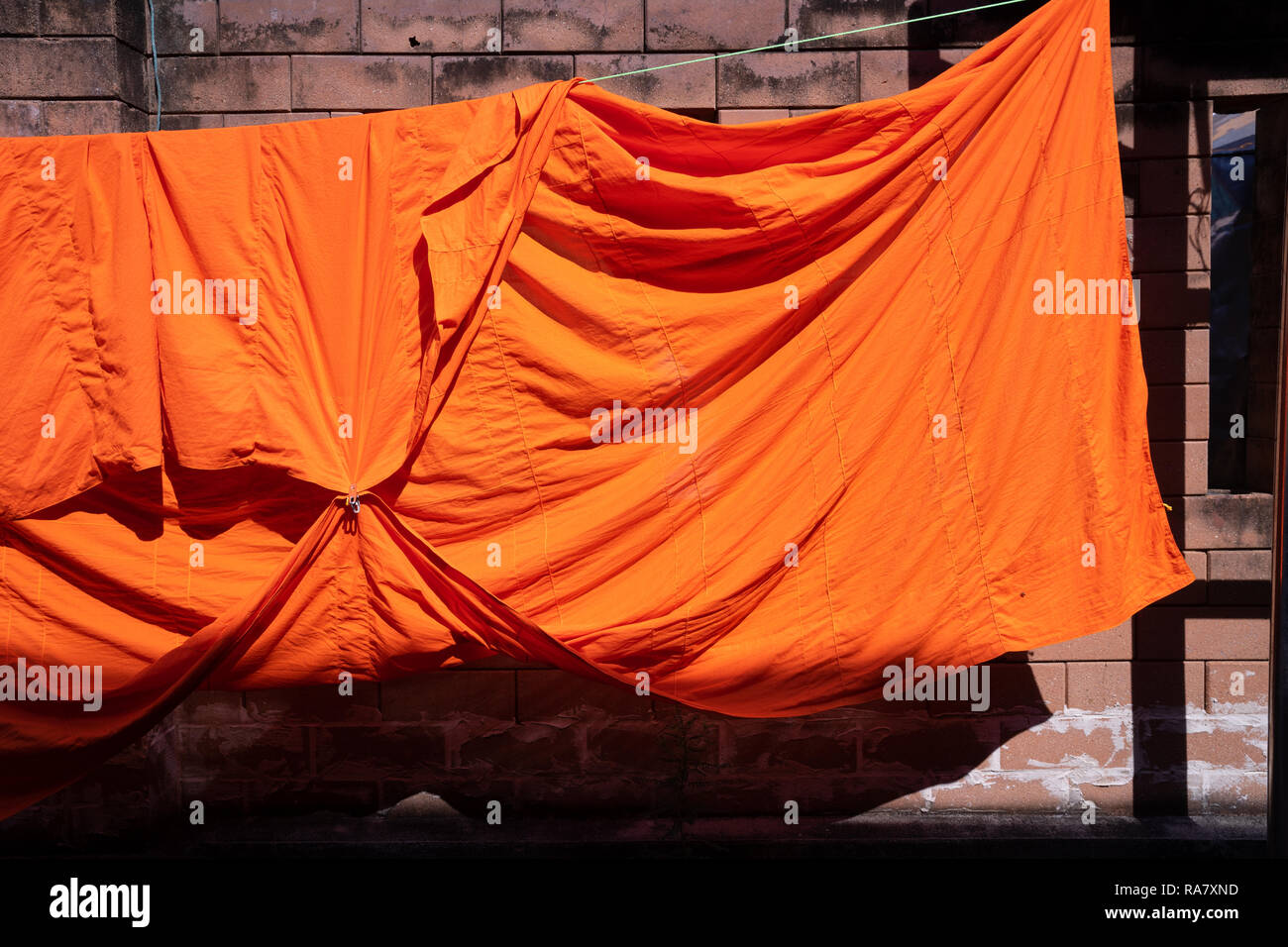 Moine pendu Banque de photographies et d’images à haute résolution - Alamy
