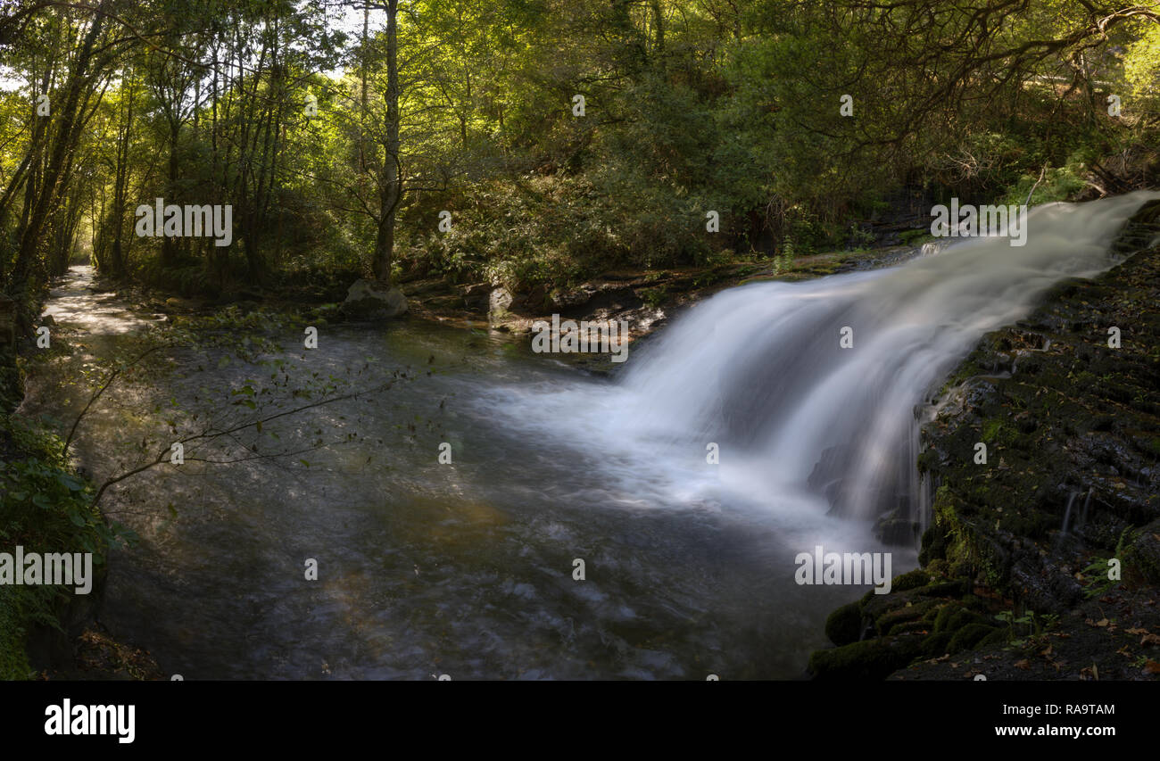 Chute d'eau et canal d'une rivière entre les forêts de feuillus, de ...