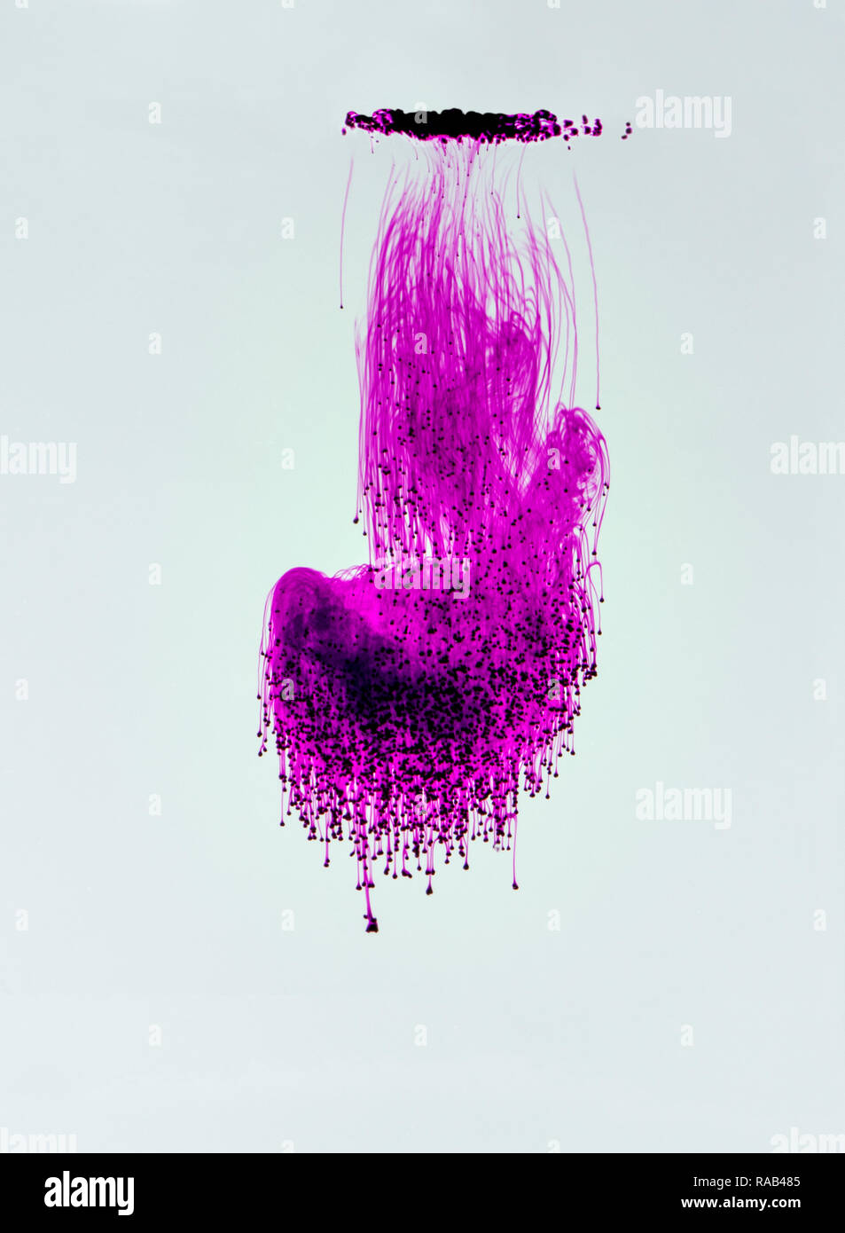 Purple potassium permanganate solution Banque de photographies et d ...