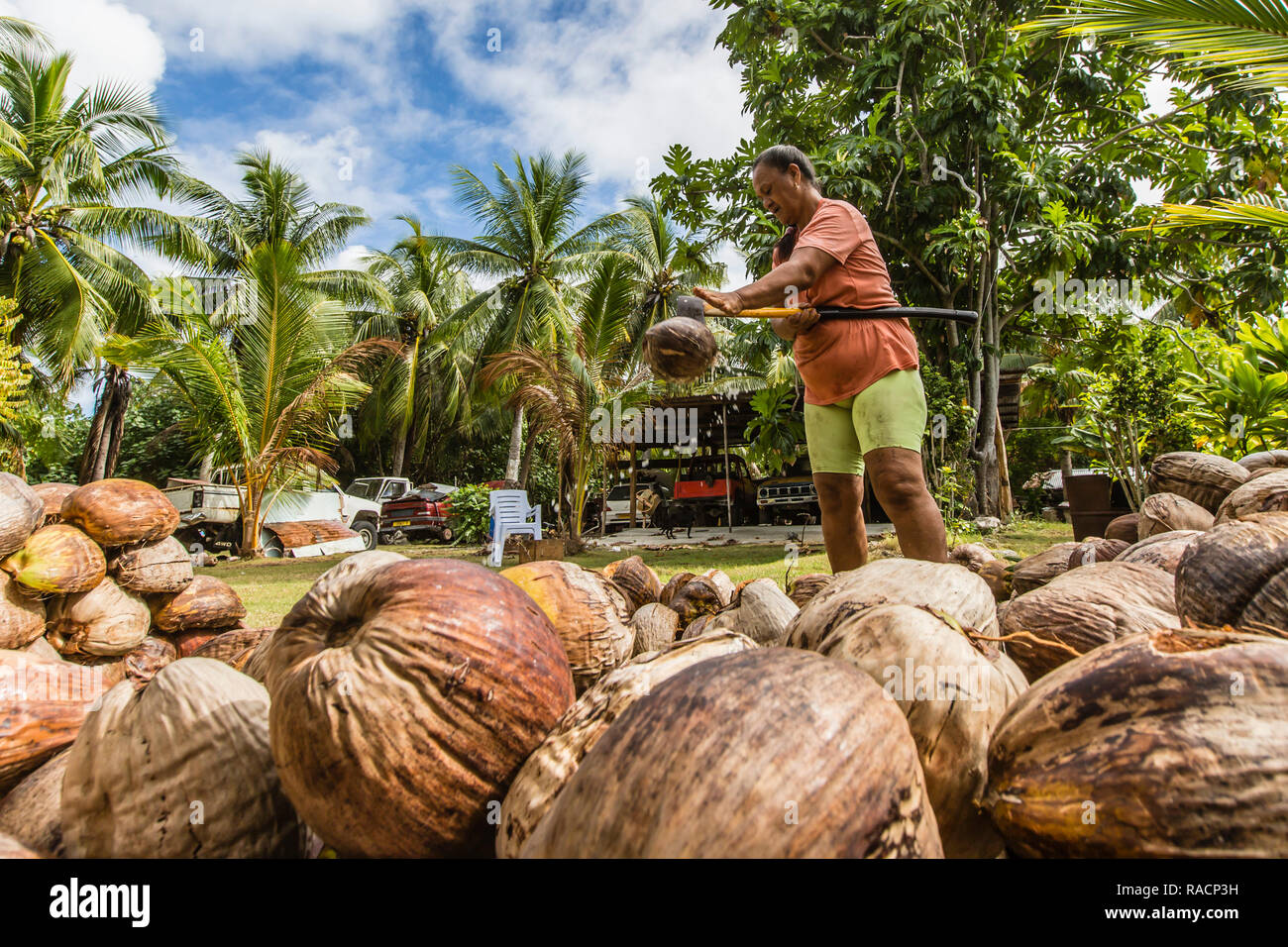 La division et la femme de coco pour faire le séchage du coprah dans la ...