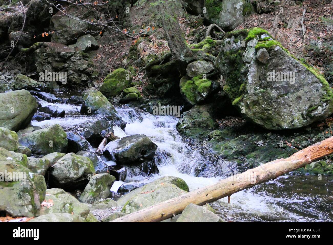 Ruisseaux forestiers Banque de photographies et d’images à haute ...