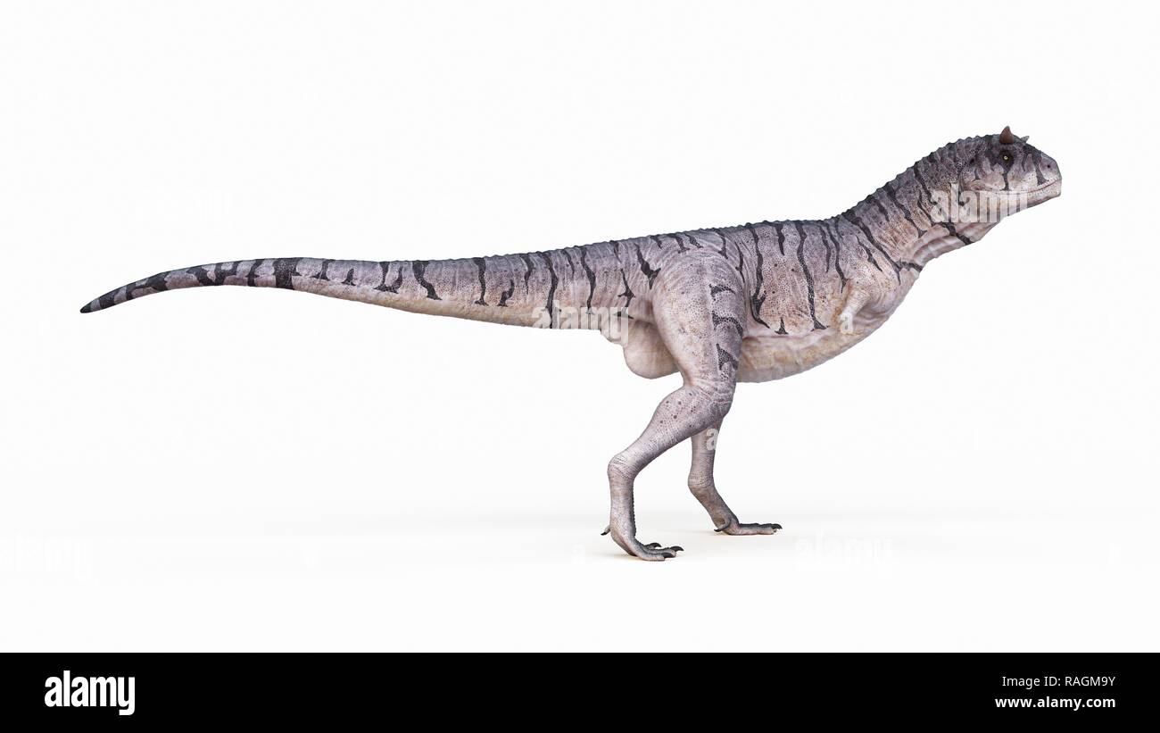 Carnotaurus dinosaur Banque d'images détourées - Alamy
