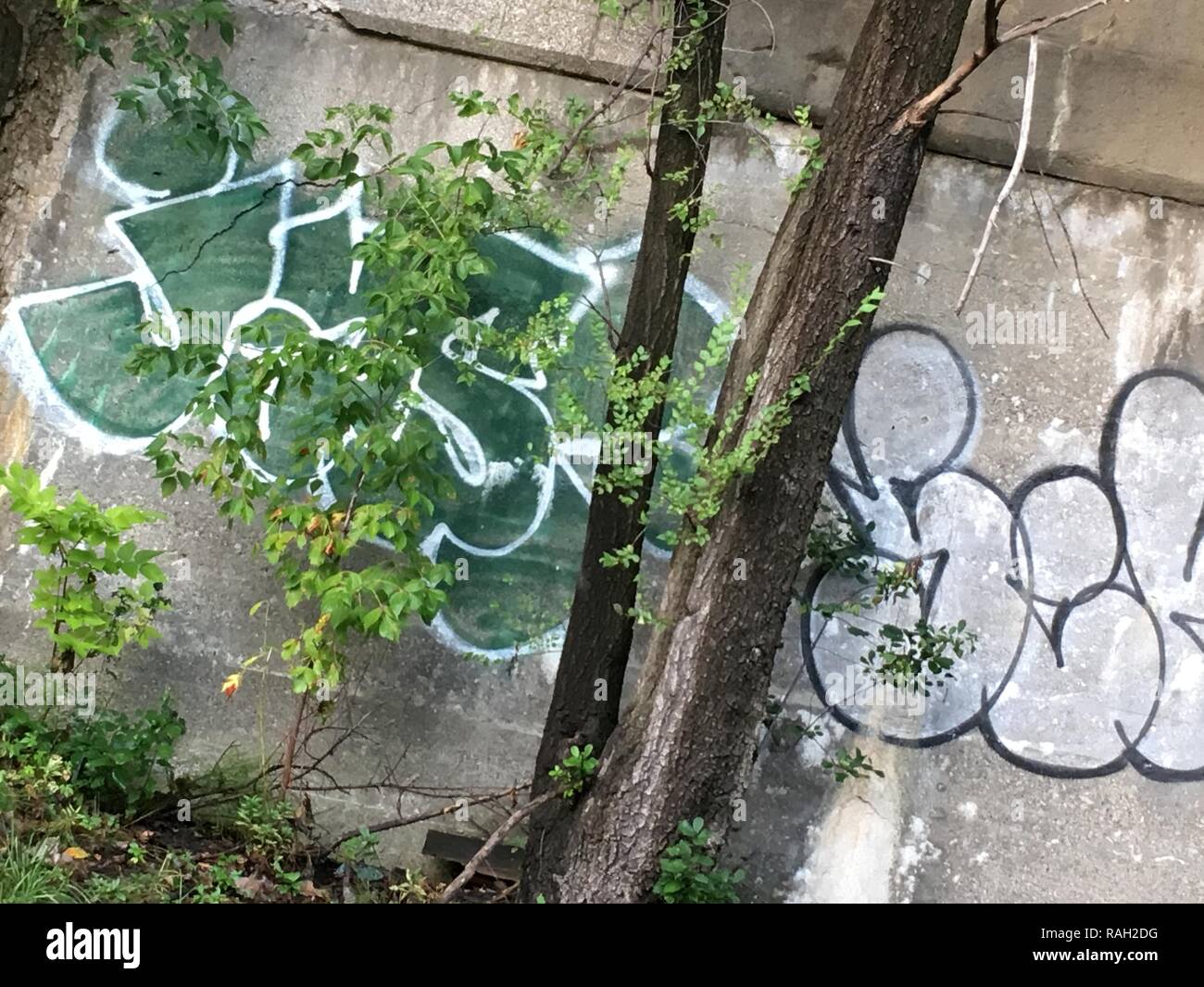 Graffiti style word art Banque de photographies et d’images à haute ...