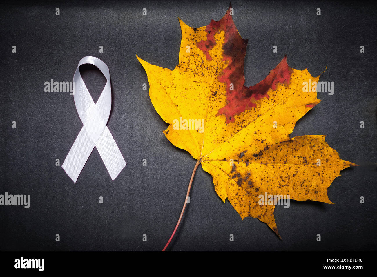 Le cancer du poumon, ruban ruban blanc, symbole de la lutte contre le ...