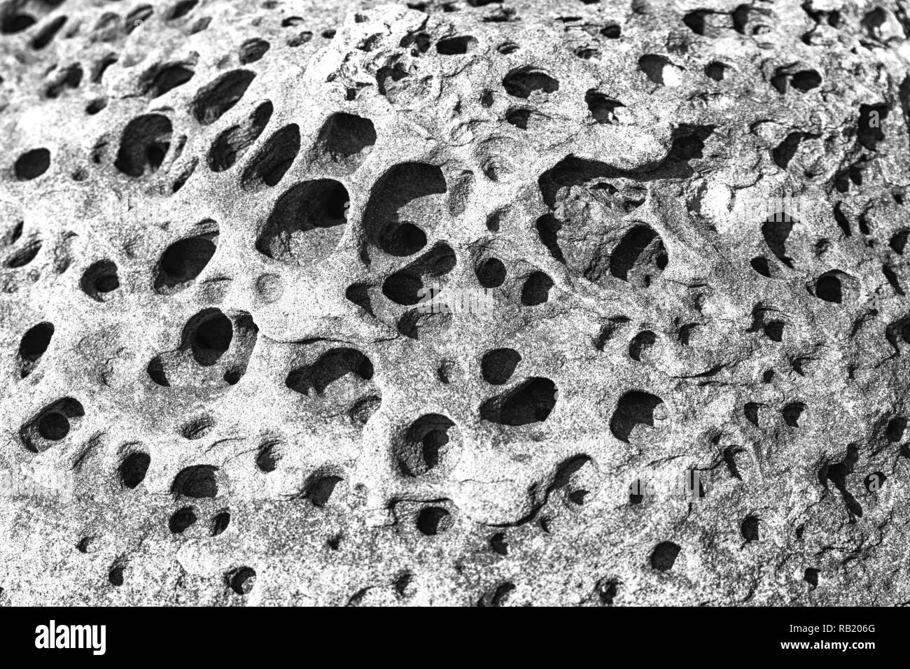 Porous stone Banque de photographies et d’images à haute résolution - Alamy