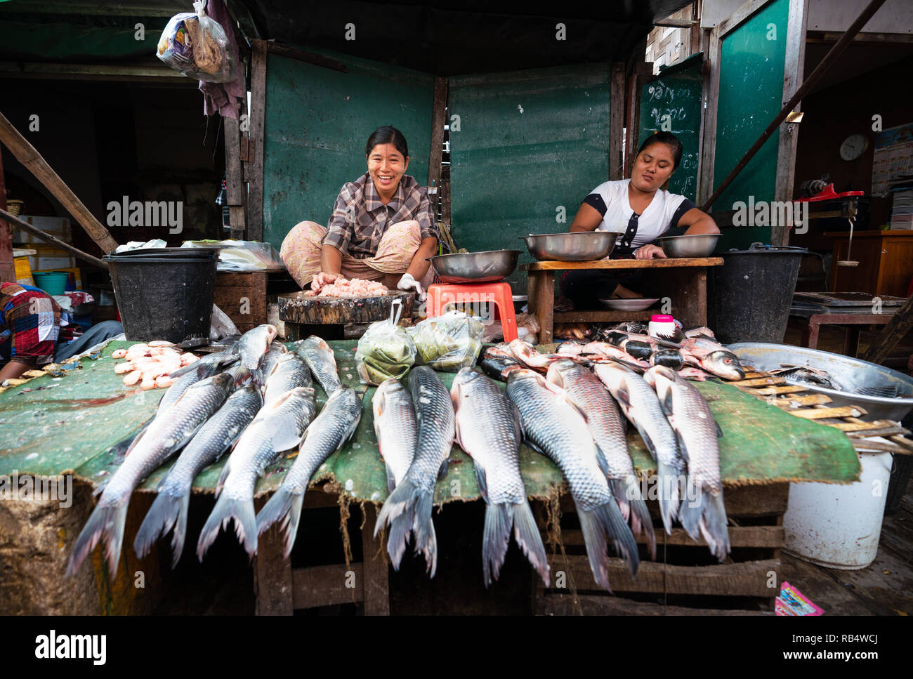 Vendeuse de poisson poissonnier Banque de photographies et d’images à ...
