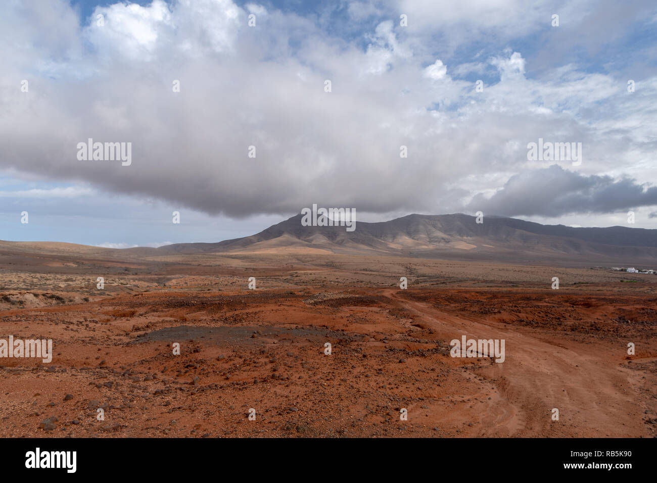 Les zones arides et rocheuses, Fuerteventura, Îles Canaries, Espagne ...