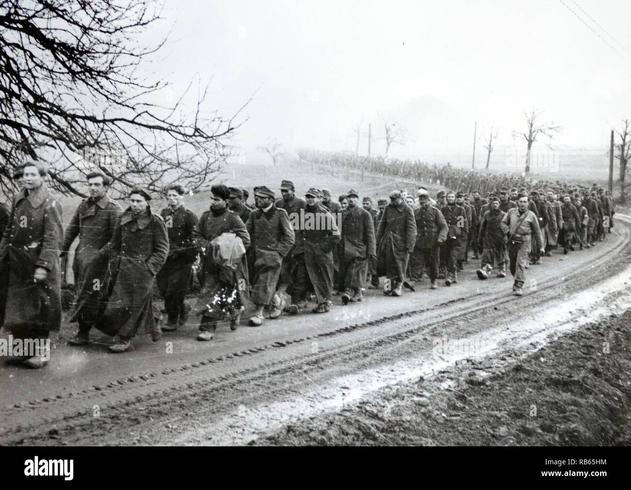 La Seconde Guerre Mondiale 2 Prisonniers De Guerre Allemands Dans La
