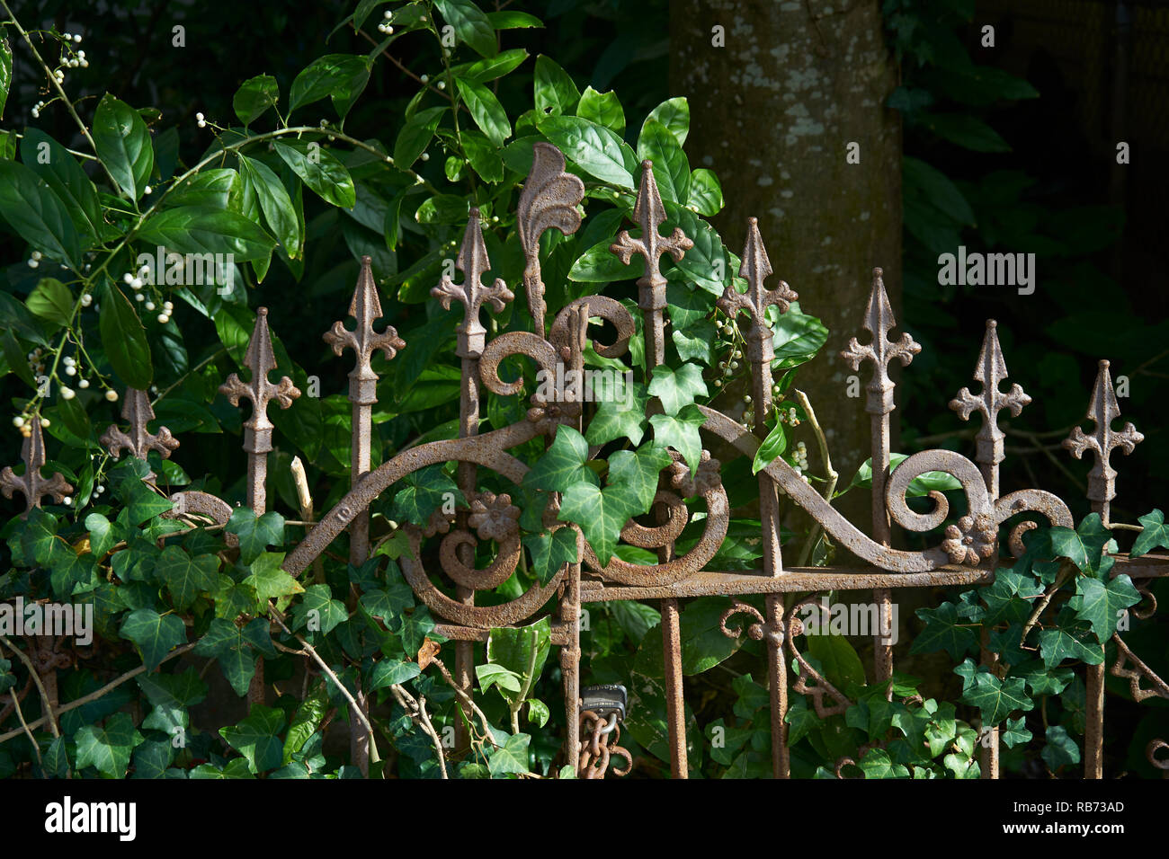 Ferronnerie bronze Banque de photographies et d’images à haute ...