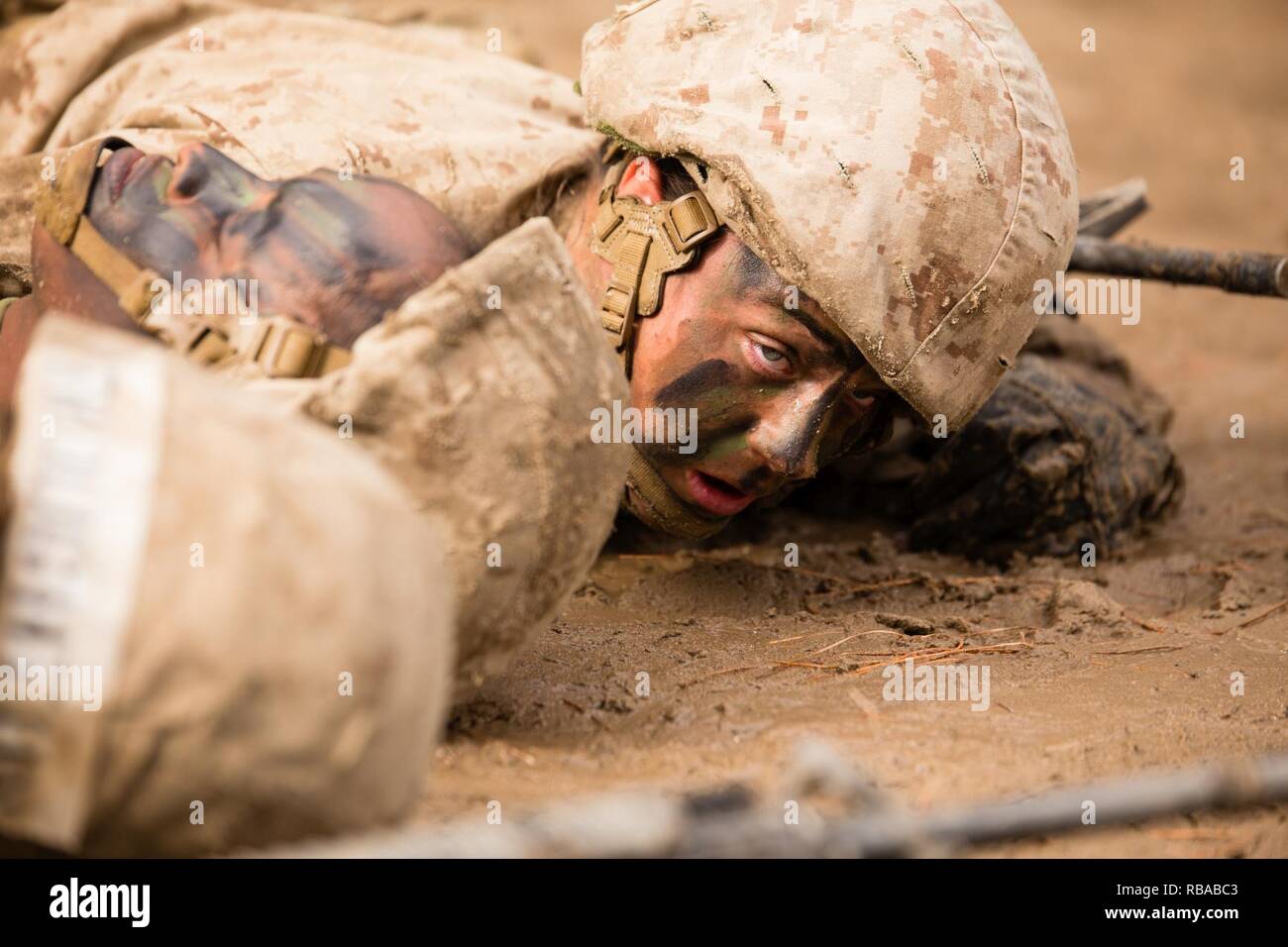 Ecr. Maria Daume, peloton 4001, Papa, Société de recrutement et de ...