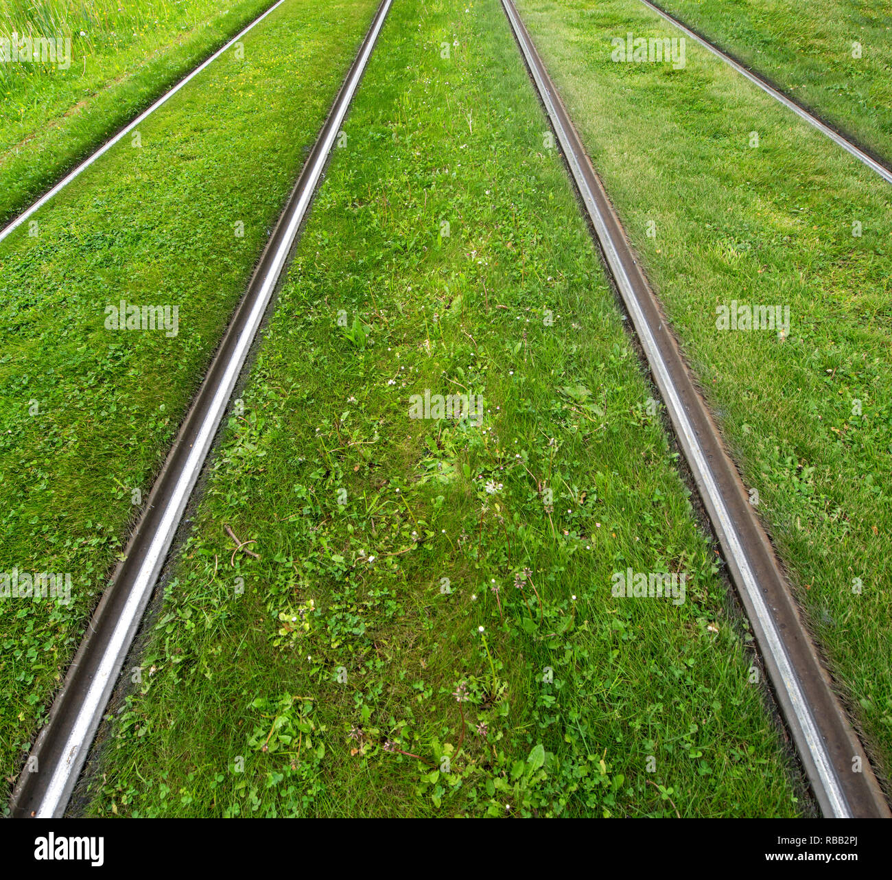 Tramway rails Banque de photographies et d’images à haute résolution ...