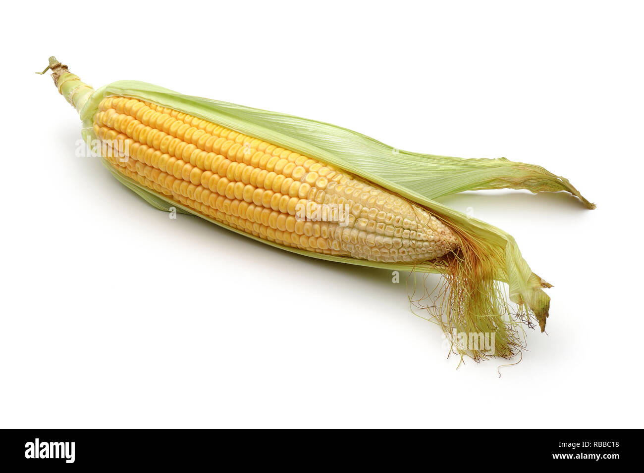 Section de la feuille de maïs Banque de photographies et d’images à ...