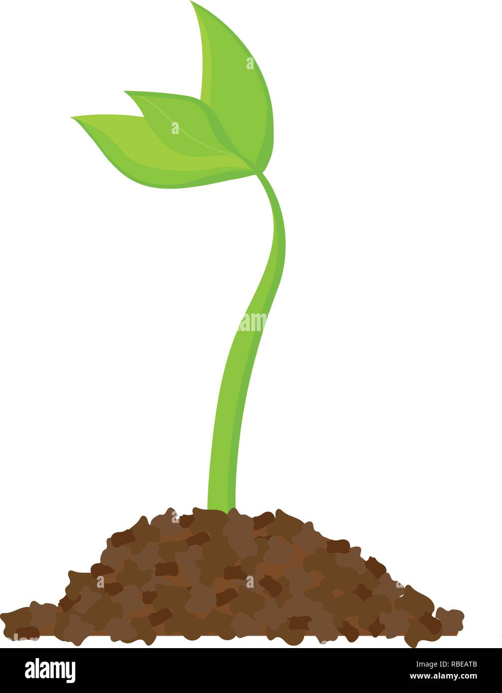 Graines germination simple dessin. Sprout, plante, arbre qui pousse l ...