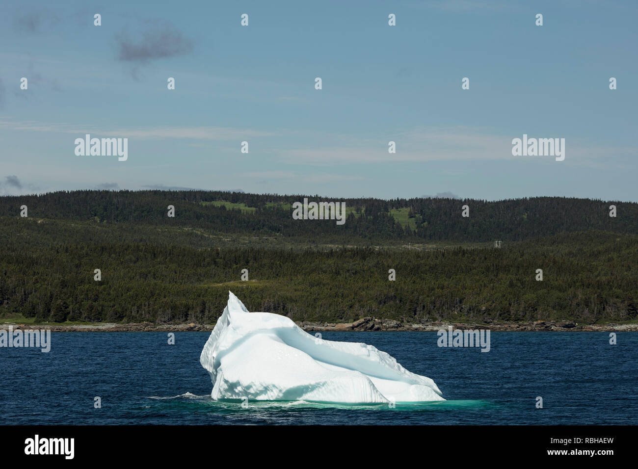 Labrador canadien Banque de photographies et d’images à haute ...