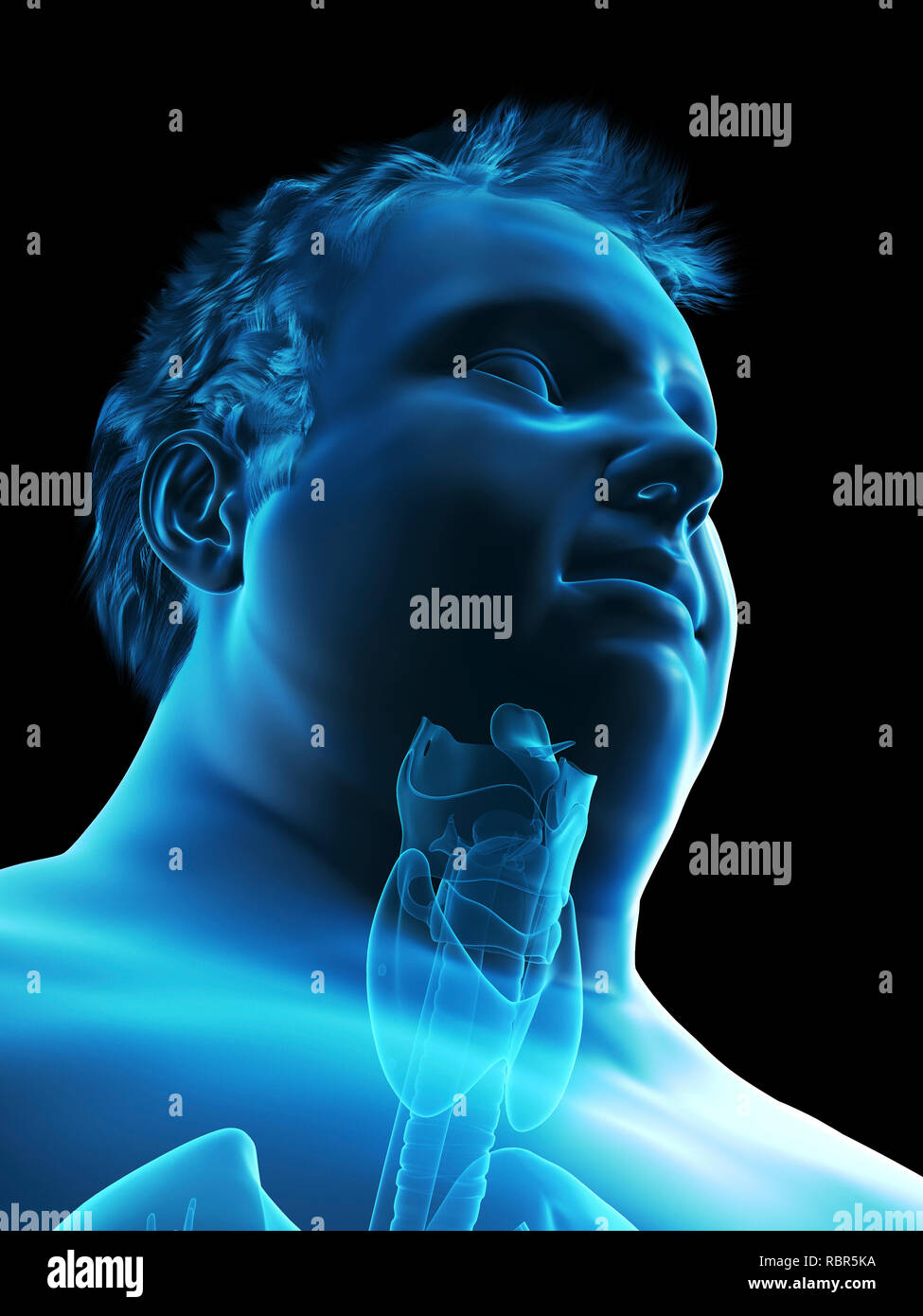 Anatomie de la gorge Banque de photographies et d’images à haute ...