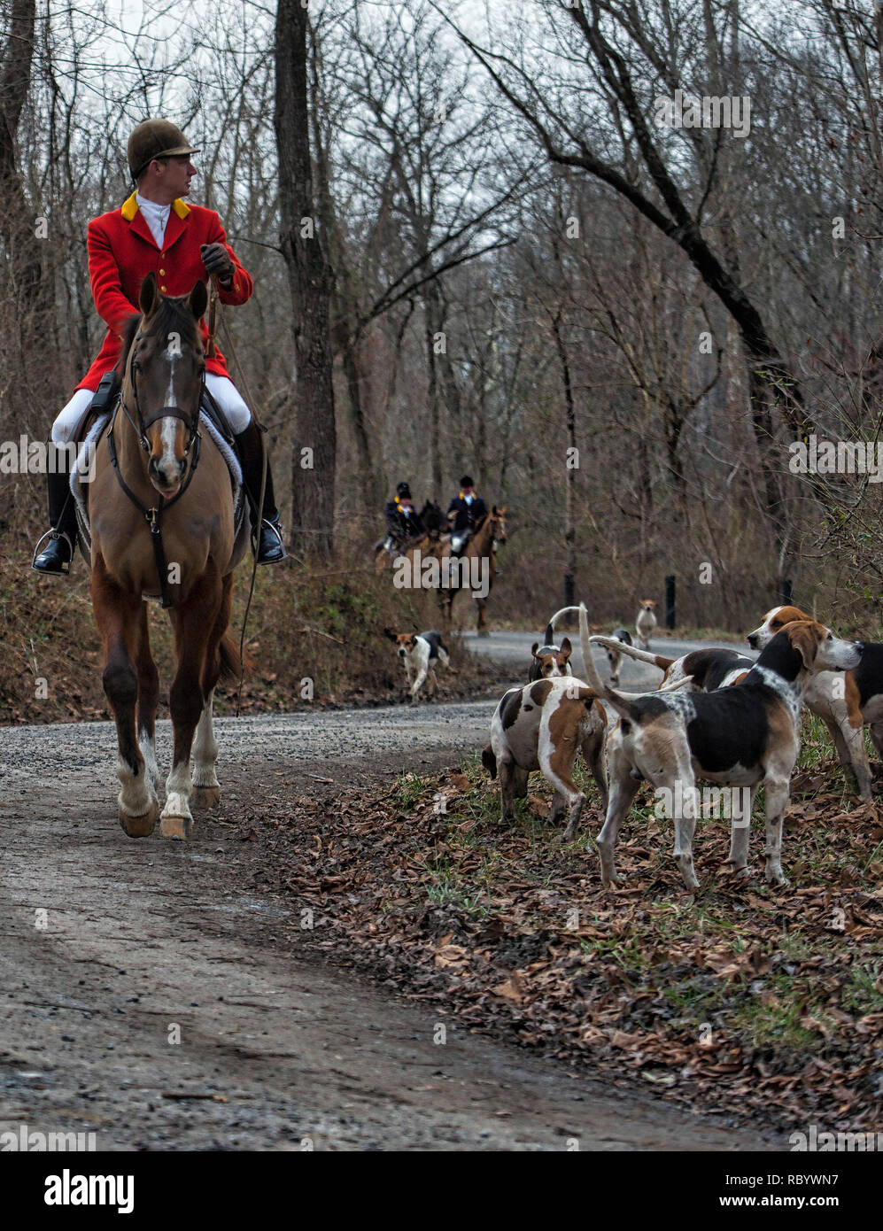 Edward lane fox Banque de photographies et d’images à haute résolution ...