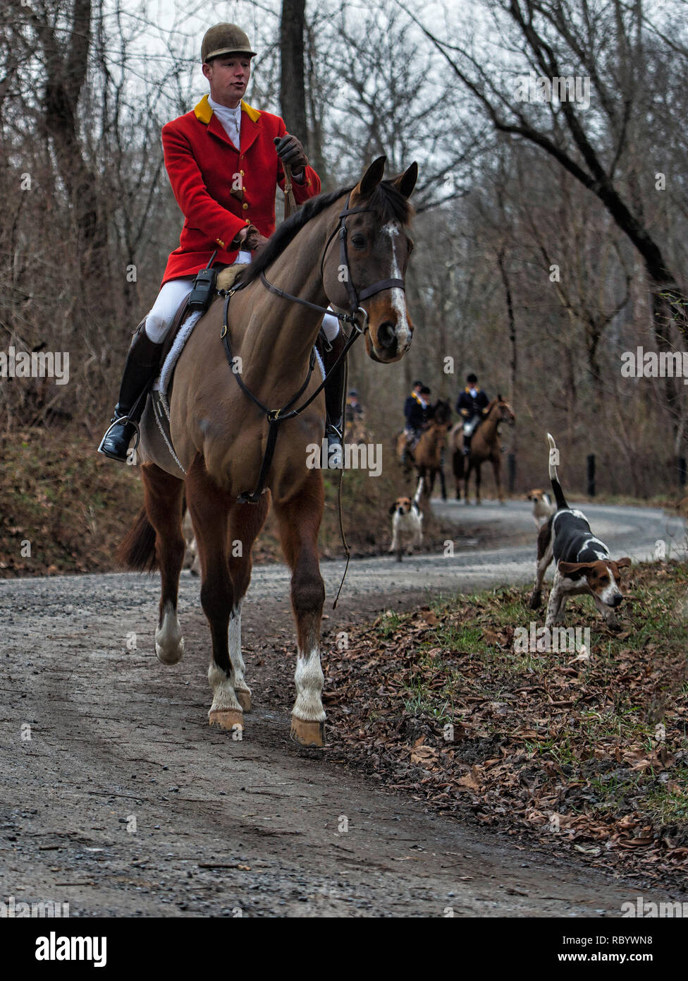 Edward lane fox Banque de photographies et d’images à haute résolution ...