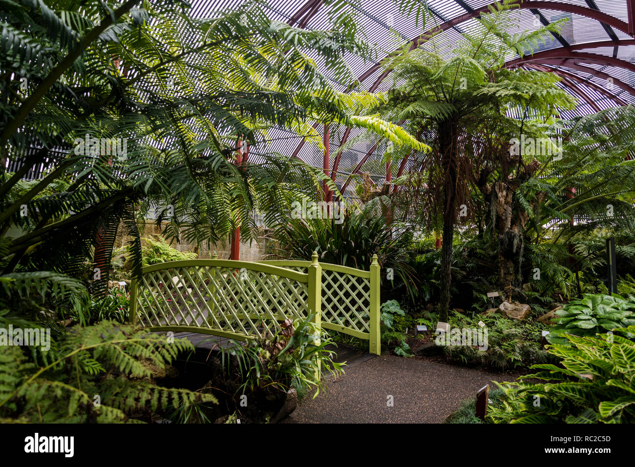 Sydney fernery Banque de photographies et d’images à haute résolution ...
