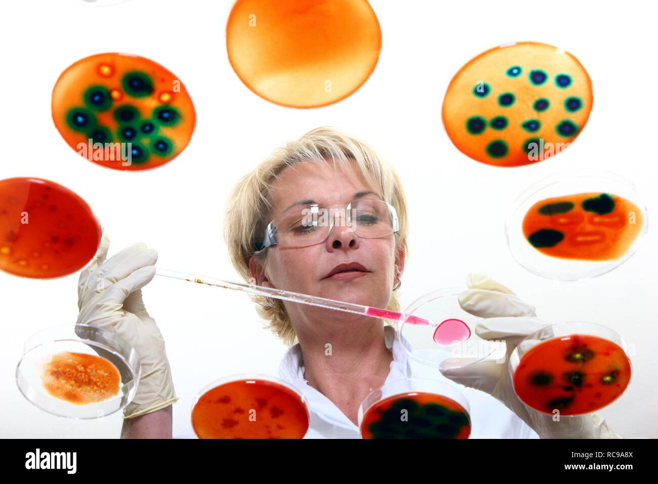 Science photo bactéries Banque de photographies et d’images à haute ...