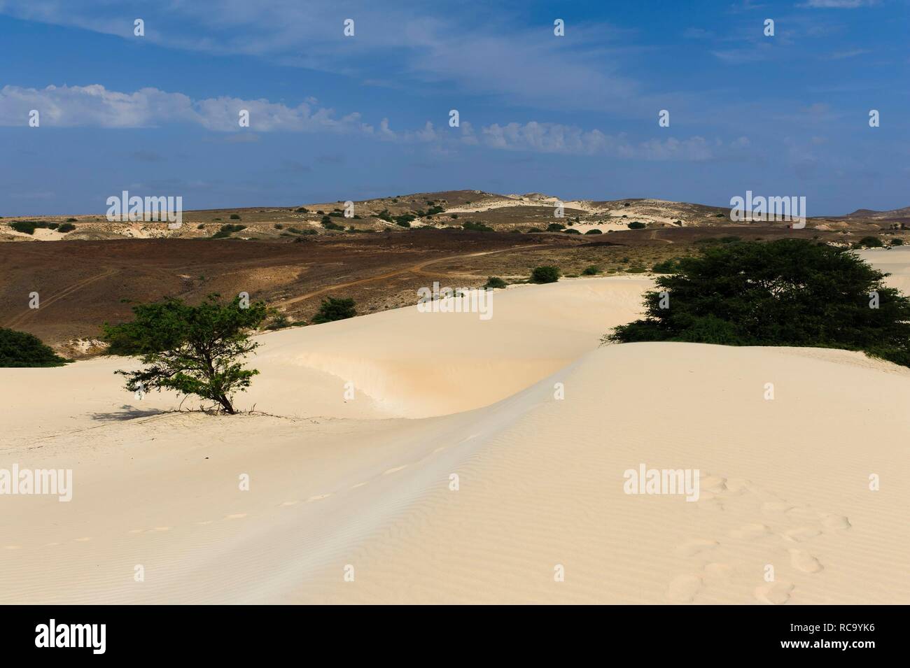 Cap vert boa vista Banque d'image et photos - Page 2 - Alamy