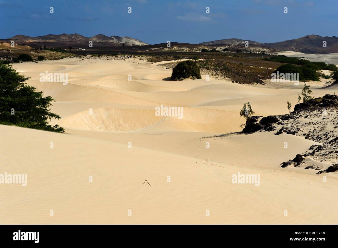 Cape verde islands boa vista Banque de photographies et d’images à ...