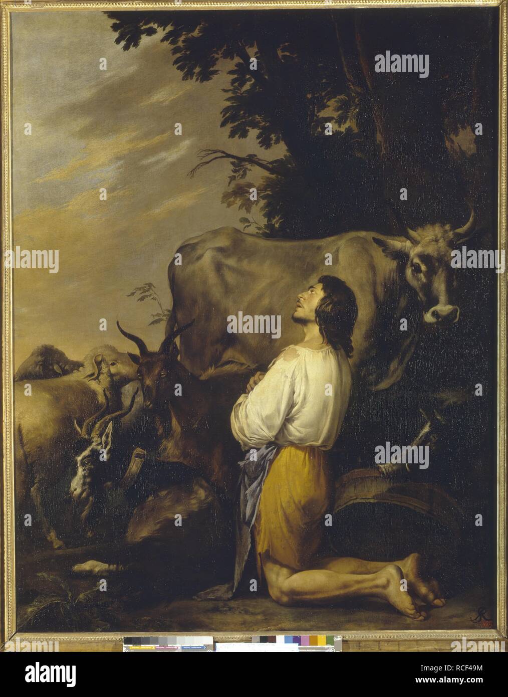 Parabole du fils prodigue Banque de photographies et d’images à haute ...