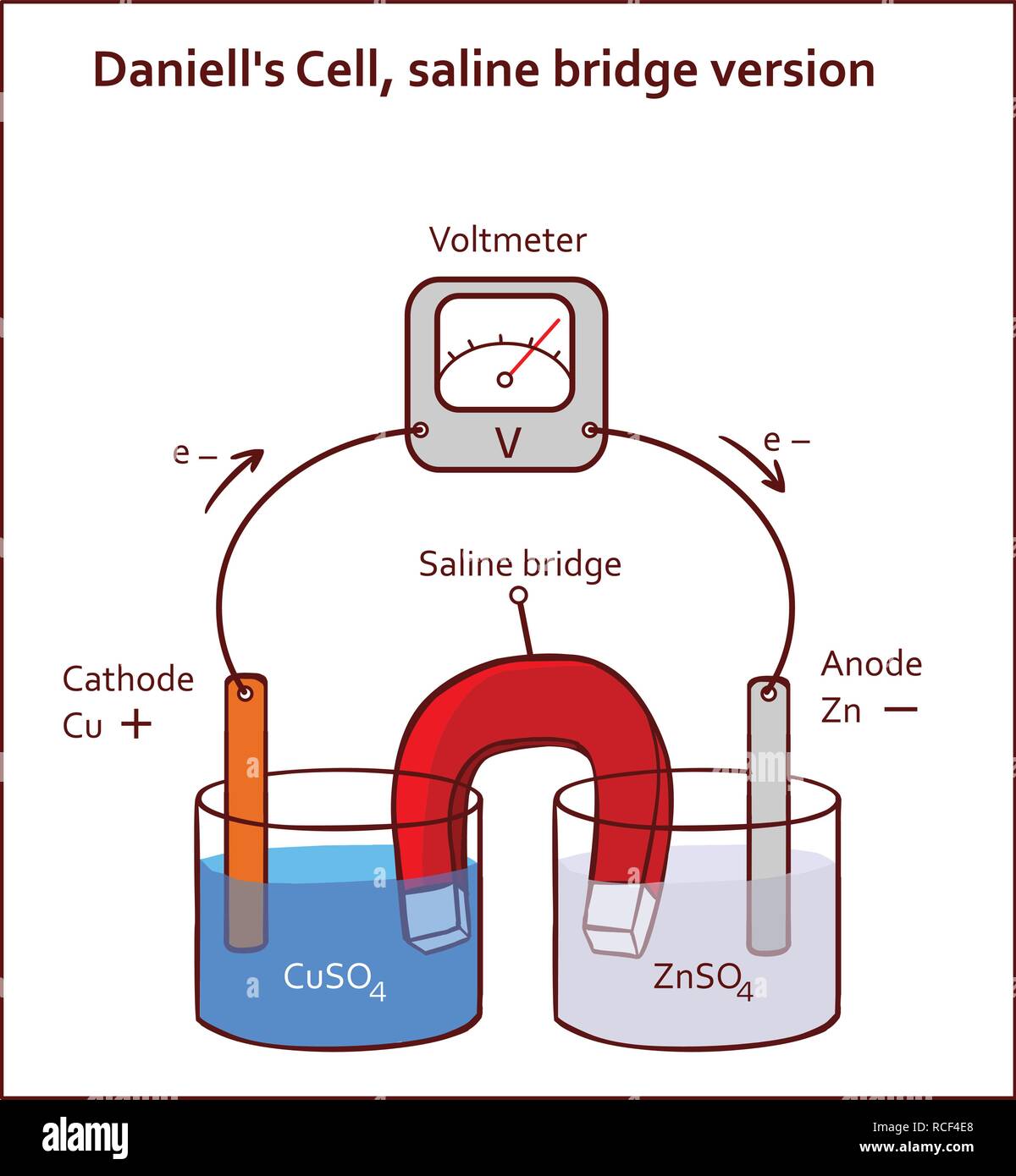 La Cellule de Daniell, version pont salin vector illustration Image ...
