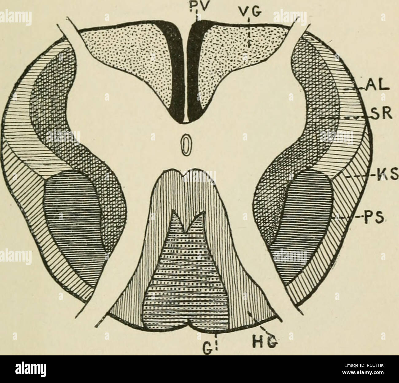 Schéma pyramidal Banque de photographies et d’images à haute résolution ...