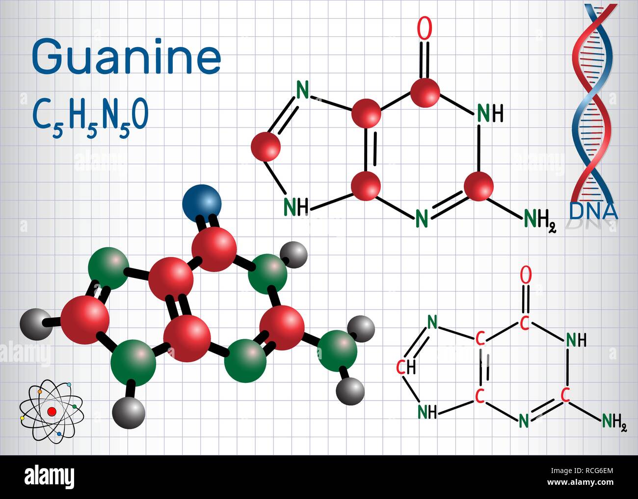 Molecular model of purine nucleobase Banque d'images vectorielles - Alamy